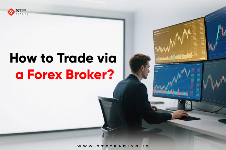 What is a Forex broker? | STP TRADING