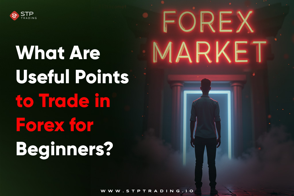 How to Trade Forex for Beginners: Simple Steps to Start Today STP TRADING