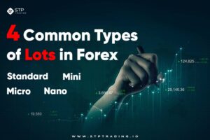 What Are Lots in Forex and How Can We Calculate Lot Sizes? - STP TRADING