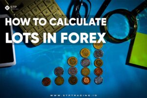 What Are Lots in Forex and How Can We Calculate Lot Sizes? - STP TRADING