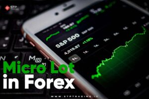 What Are Lots in Forex and How Can We Calculate Lot Sizes? - STP TRADING
