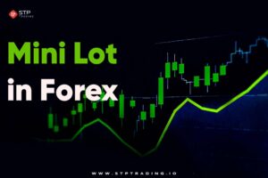 What Are Lots in Forex and How Can We Calculate Lot Sizes? - STP TRADING