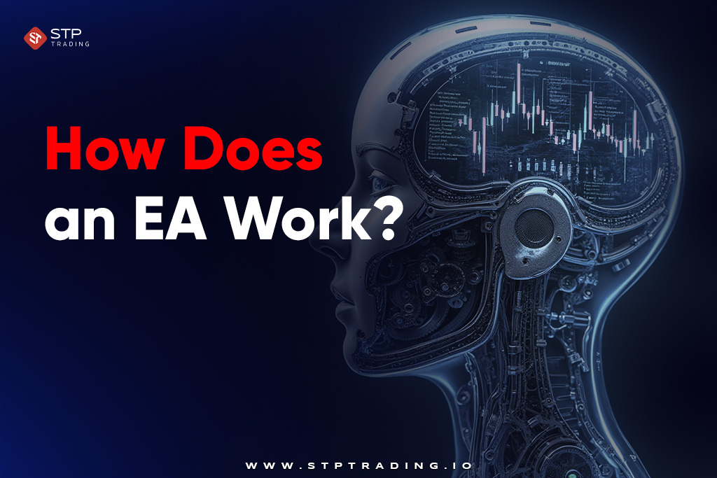 What Does EA Mean in Trading? - Expert Advisor Explained - STP TRADING