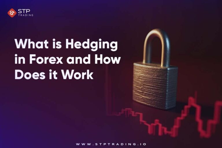 What is Hedging in Forex and How Does it Work? - STP TRADING